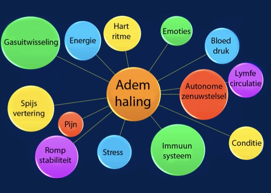 Ademhalingstherapie | Fysiotherapie Centrum Heerde